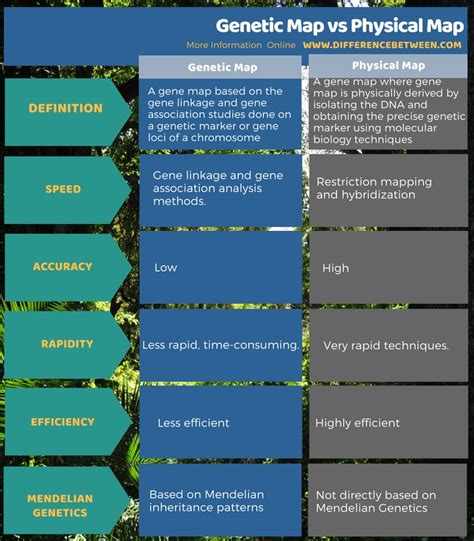 Ultras Piacenza Politico Definition