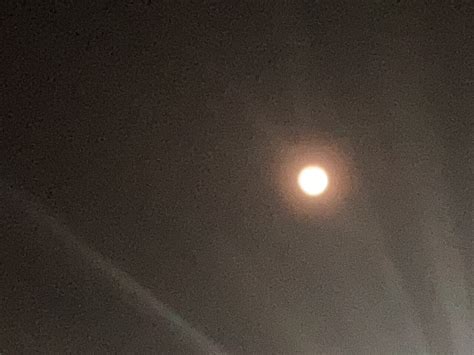 ふと月詠または月夜見尊を見た時に何か引っかかってた別で日の巫女の話を聞いた時の事を思い出したすると月詠の巫女もいたり王これもミコと