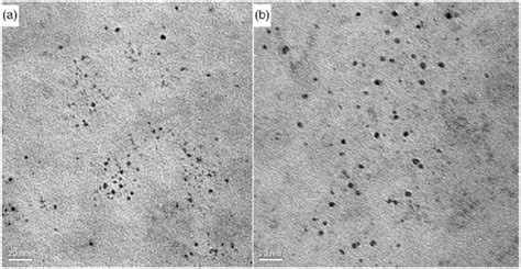 Transmission Electron Microscopy Micrographs Of A Thioglycolic Acid Download Scientific