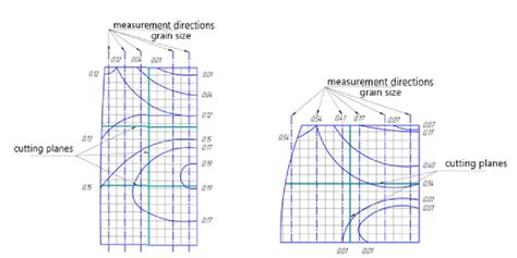 Deformation Fields In The 14 Part Of The Longitudinal Section Of The