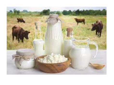 Perberja E Qumeshtit Te Lopes Ppt