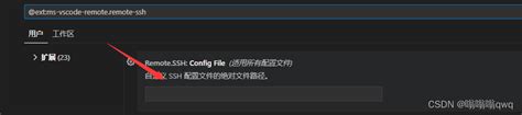 vscode远程连接树莓派 csdn博客