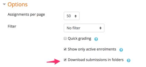 Bulk Download Assignment Submissions Moodle User Guides