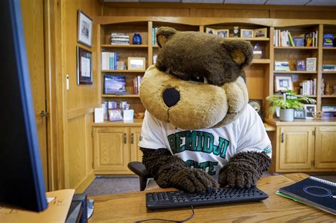 Bucky The Beaver Named Successor To Punxsutawney Phil As Official