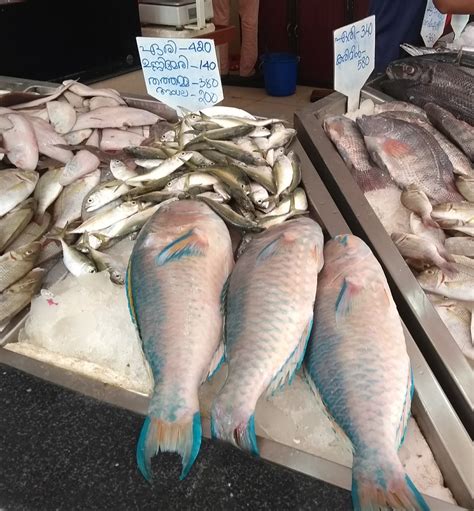 Unni Mary And Thathamma Album On Imgur