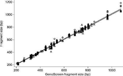 Linear Regression Graph Showing The Relationship Between Fragment Size