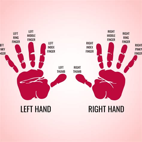 The Spiritual Meaning Of The Pinky Finger Discover Its Symbolism And