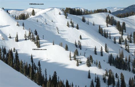Take 5 Minutes To Improve Avalanche Communication The Backcountry Ski Site