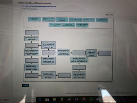 Solved Concept Map Steps Of Cellular Respiration P View Chegg Com