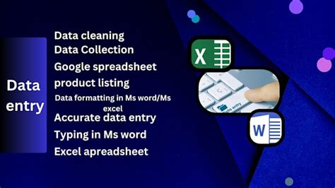 Provide Swift Data Entry Effortless Precision By Minahilworker Fiverr