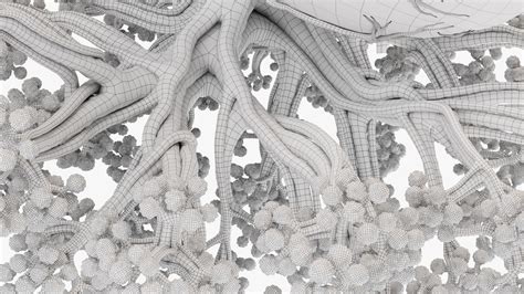 3d Animated Heart With Sound Turbosquid 2080454