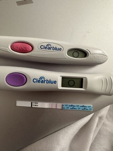 Ovulation Tests Straight After Miscarriage Mumsnet