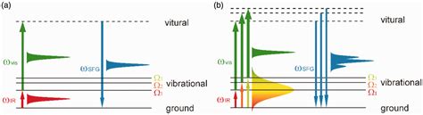 Sum Frequency Generation Vibrational Spectroscopy For Characterization Of Buried Polymer