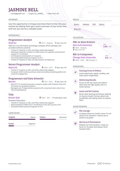 Programmer Resume Examples Guide For