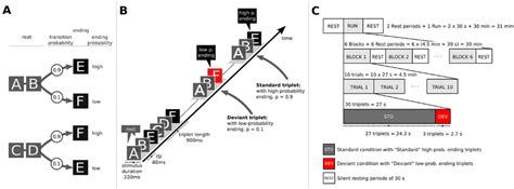 The Experimental Paradigm And Auditory Stream Inside And Outside The Download Scientific