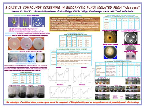 Pdf Bio Active Compounds Screening In Endophytic Fungi Isolated From