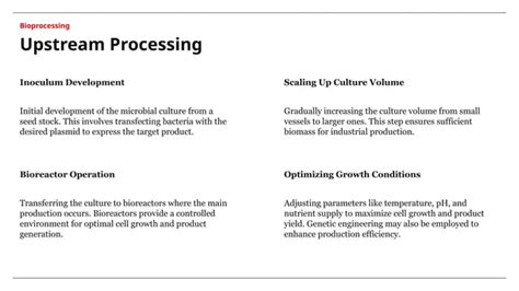 Bioprocessing Overview Upstream And Downstream Processes Pptx