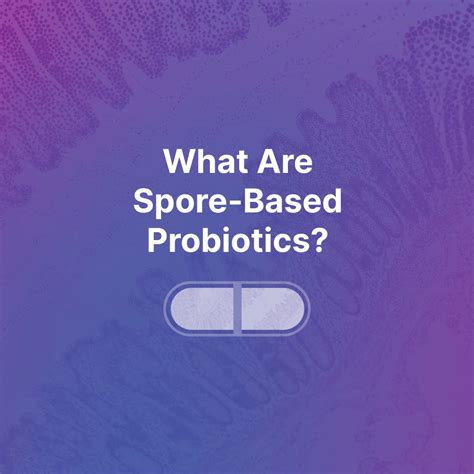 Bacillusprobiotics Probiotics Sporebasedprobiotics Guthealthsupport Immunesupport