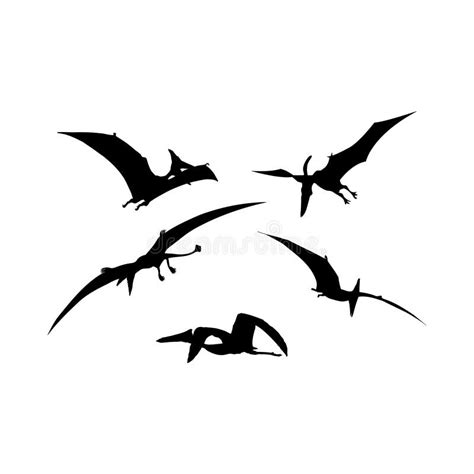 Pterodactyl Silhouettes On White Stock Illustration Illustration Of