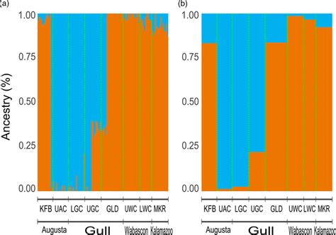 Population Structure Inferred From Admixture For A Each Individual