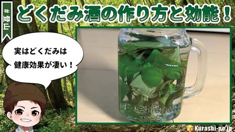 どくだみ酒の作り方と効果・効能！生薬にもなる凄い成分！ Youtube