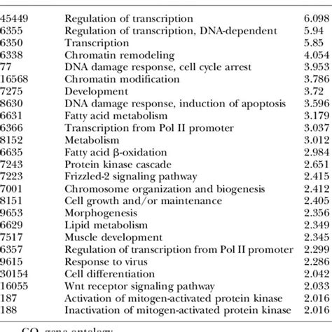 Peroxisome Proliferator Response Element Ppre Sequence Logo The Download Scientific Diagram