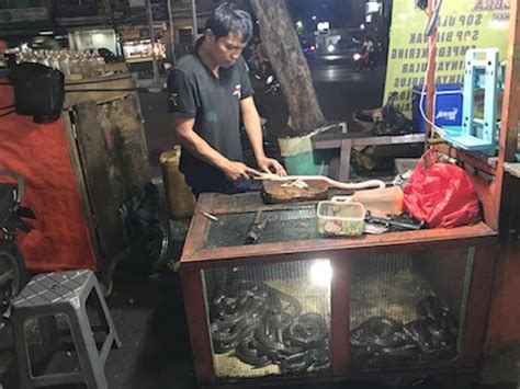 Sex Cobras And Jakarta