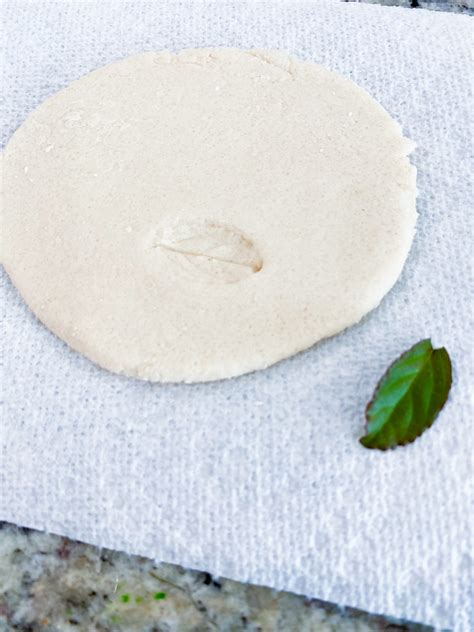 How To Make A Plant Fossil The Rocket Resource