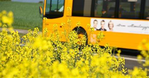 Reduktionsplikten Sänks Till Sex Procent