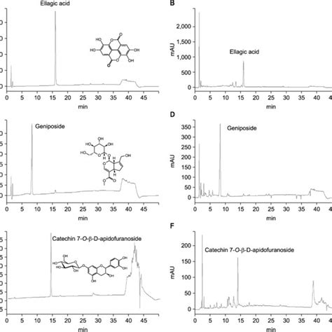 High Performance Liquid Chromatography Diode Array Detector Download Scientific Diagram