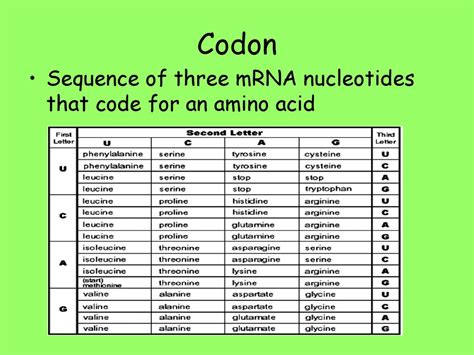 Biology Top Ppt Download