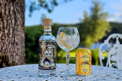 Gin Og Tonic Med Berentsens KI Gin Elixir Alt Om Gin