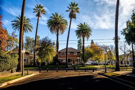 Trees And The Homes They Shade 2 On Behance Trees And The Homes They Shade 2 On Behance