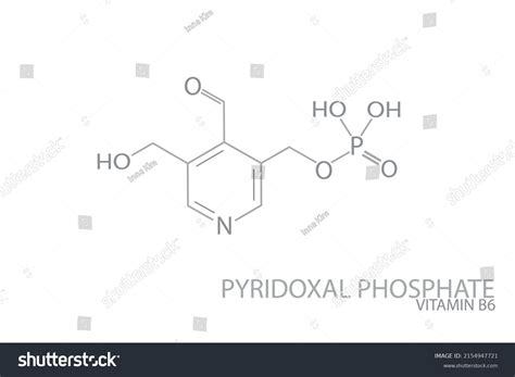 Pyridoxal Phosphate Molecular Skeletal Chemical Formula Stock Vector Royalty Free 2154947721