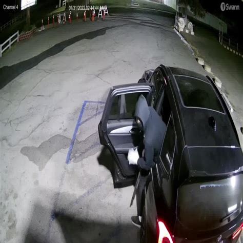 Thief Vision Object Detection Dataset V1 2023 11 29 8 03pm By