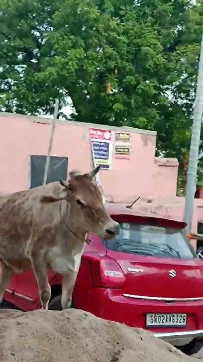 பயமா இருக்கு Youtube