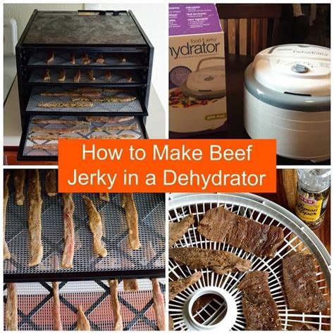 How To Make Beef Jerky With A Dehydrator Jerkyholic