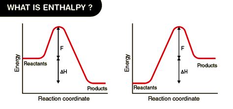 Testbook Com India S No 1 Govt Exam Preparation Site Online Course Mock Test