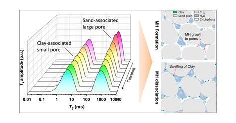 Pore Scale Investigation Of Ch4 Hydrate Kinetics In Clayey Silty Sediments By Low Field Nmr