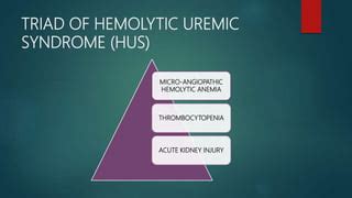 Atypical Hemolytic Uremic Syndrome Pptx