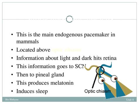 Homework ~ Due In 8th Complete Paper 2 Ppt Download