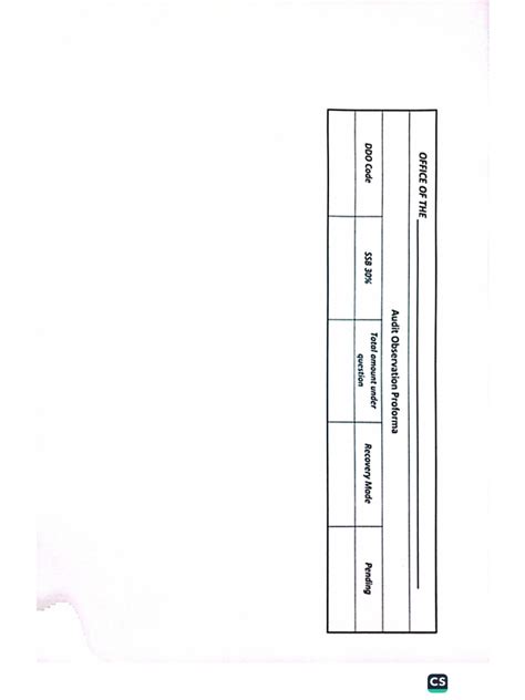 Audit Observation Proforma Pdf
