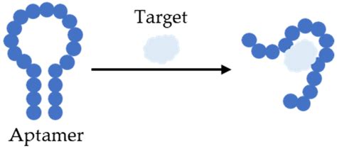 nucleic acid aptamer based biosensors a review