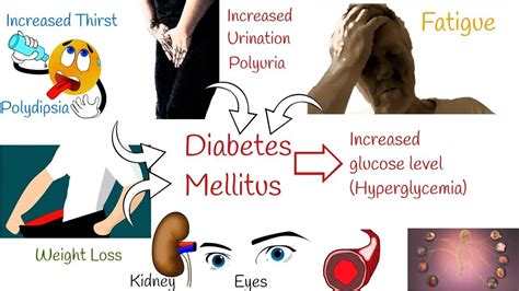 Diabetes Mellitus Symptoms Causes Types And Sources Of Glucose In The