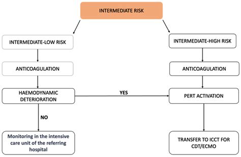Management Of Intermediate Risk Pe According To Our Protocol
