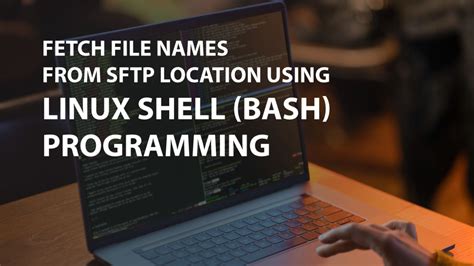 Fetch File Names From Sftp With Shell Bash Programming