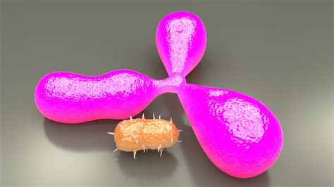 Antigen And Bacteria 3d Turbosquid 2209596