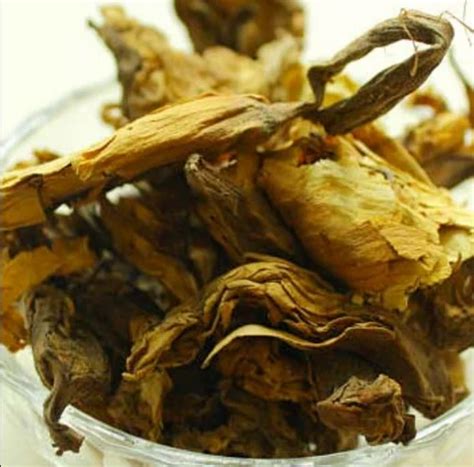 Kamal Phool Nelumbium Speciosum Flower At Best Price In Vadodara