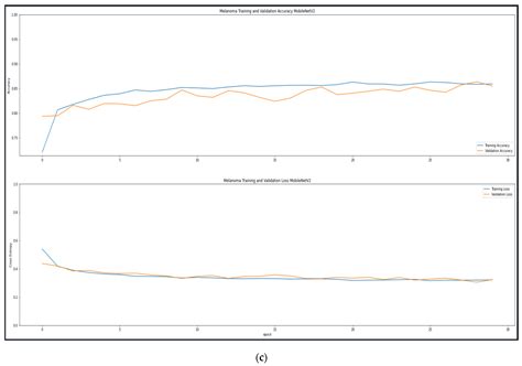 Comparative Analysis Of Conventional Cnn Vs Imagenet Pretrained Resnet In Medical Image