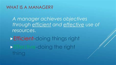 Functions Roles And Skills Of Managers PPT